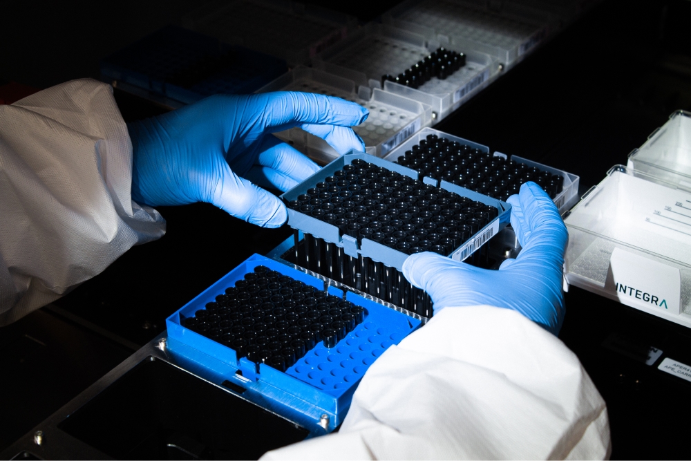 Icon of DNA strand with specific pairs pointing to a dumbbell and broccoli